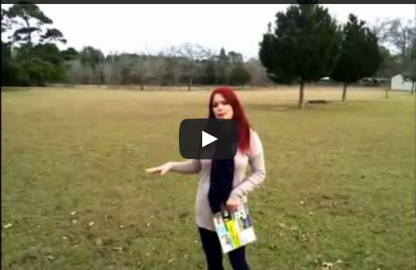 Postcard Fast Profits System - Amber Chisholm