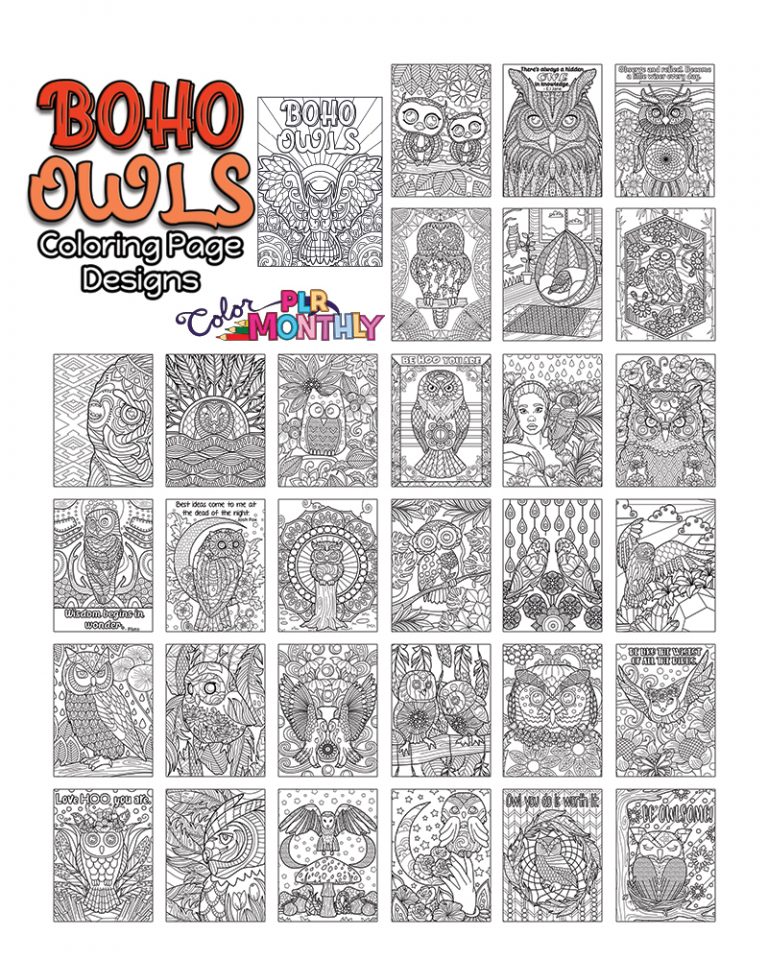 Boho Owls Coloring Pages - Rayven Monique