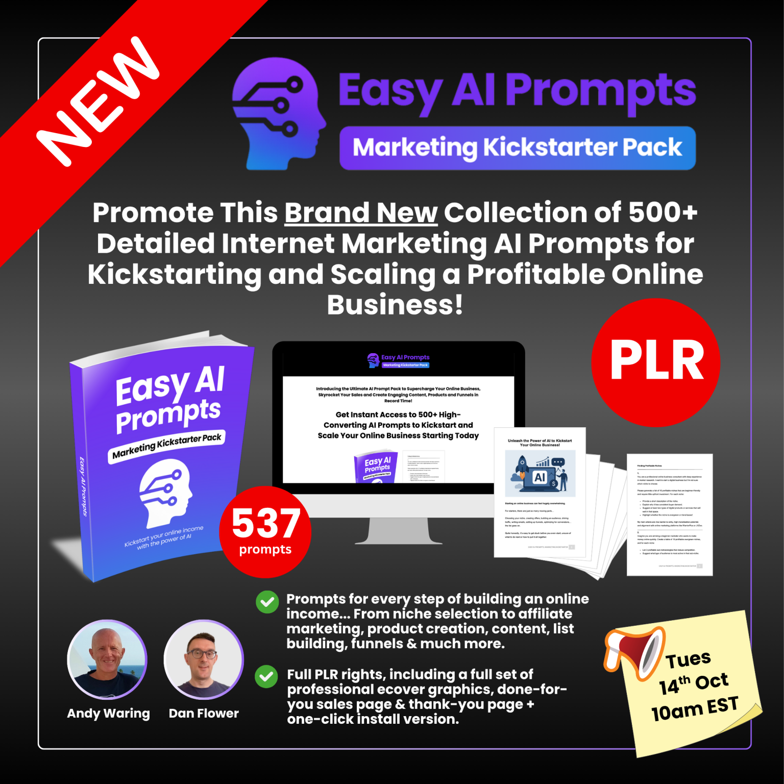 Easy AI Prompts - Kickstarter Collection (PLR) - Andy et al